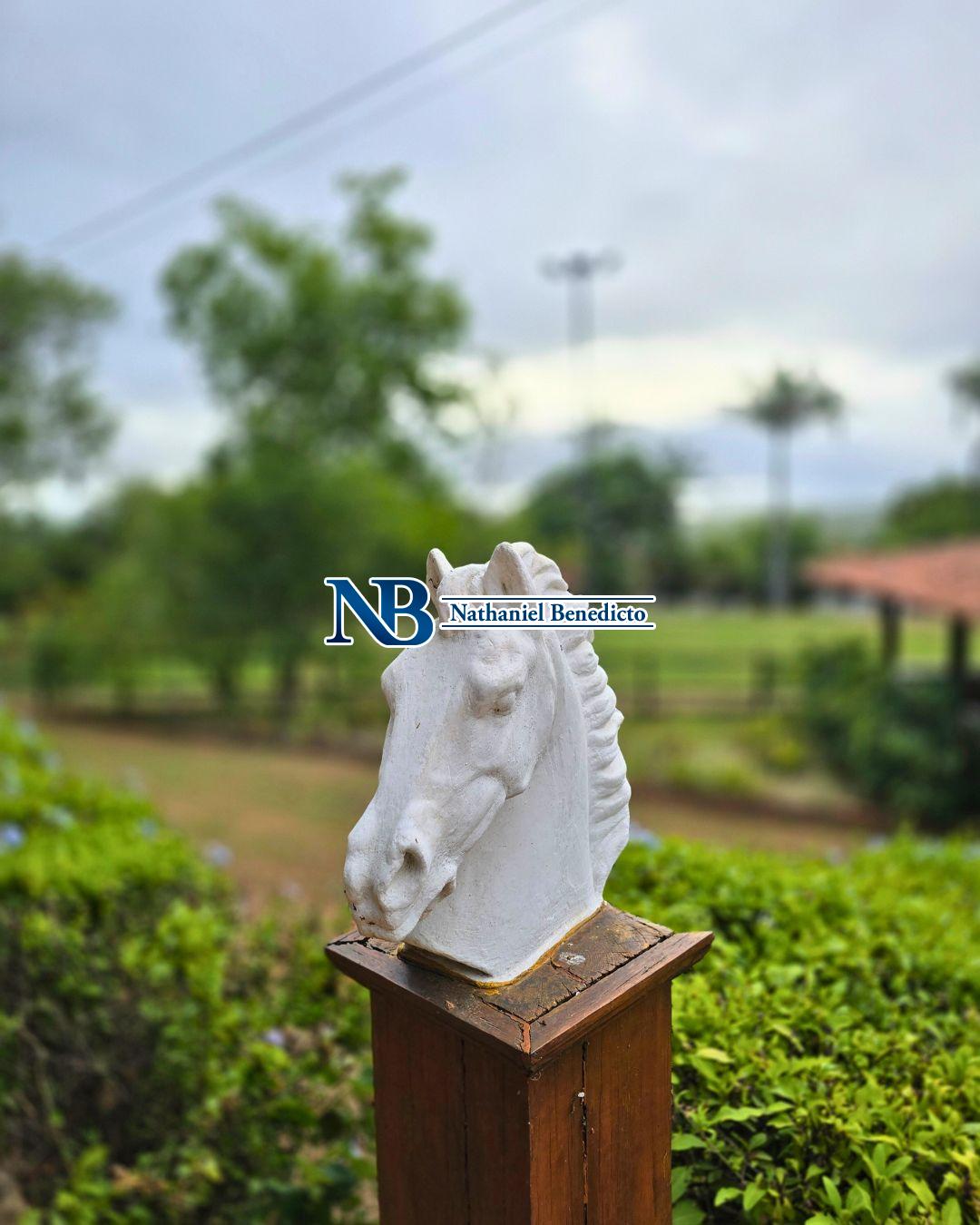 Condomínio Alto Padrão em Gravatá, Serra do Maroto - nathanielbenedicto.com